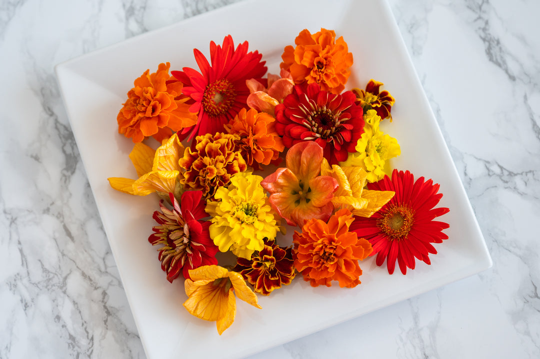 Premium Fall Flowers Mix – Gourmet Sweet Botanicals