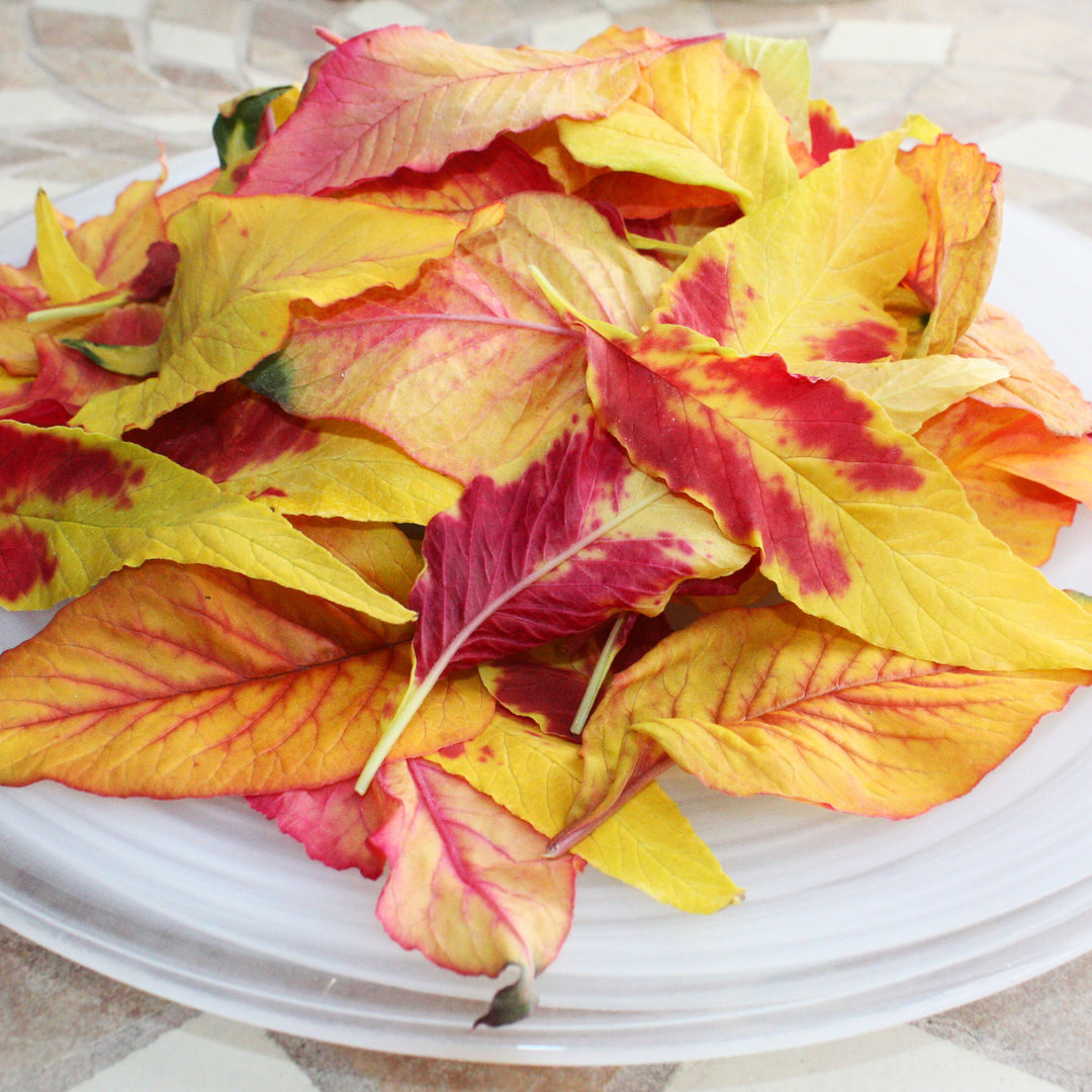 Leaves – Gourmet Sweet Botanicals