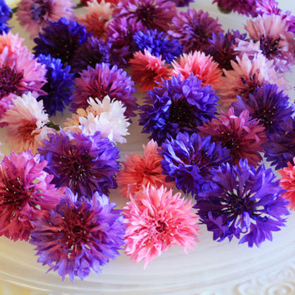 Gourmet Sweet Botanicals