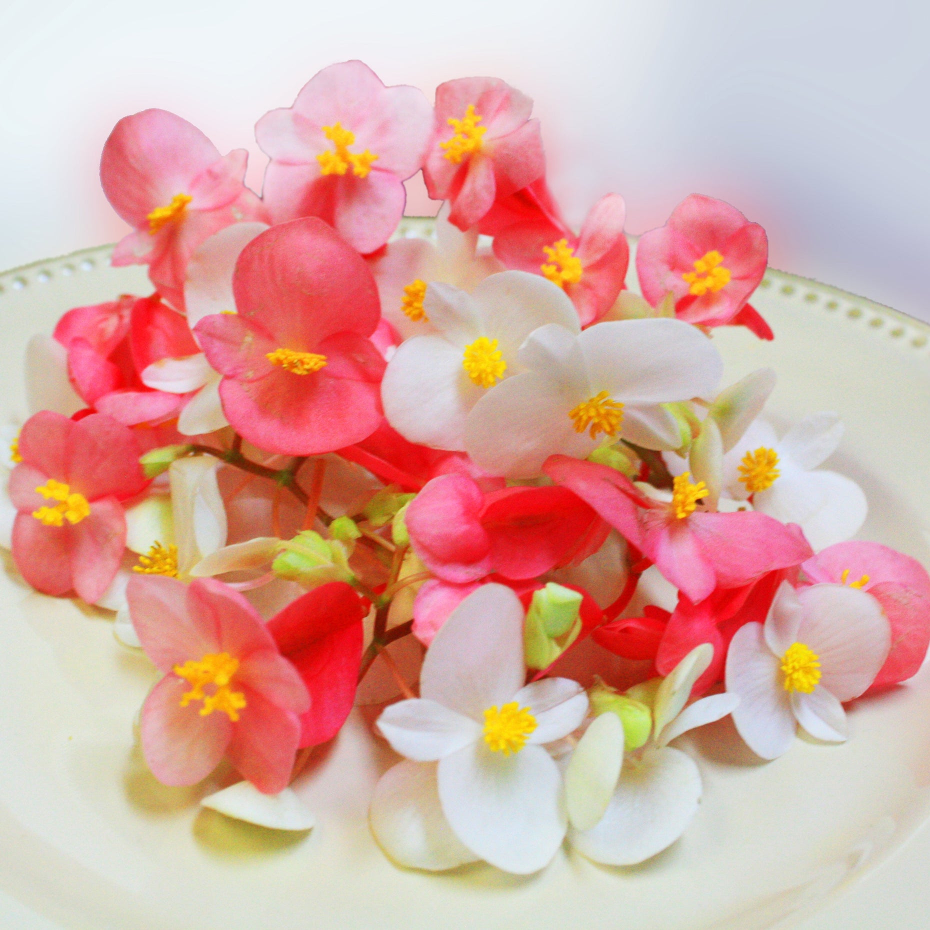 Edible Flowers – Gourmet Sweet Botanicals