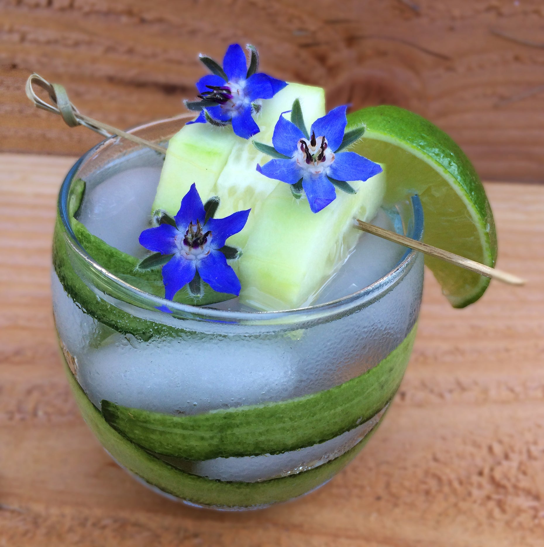 Borage Blossom – Gourmet Sweet Botanicals