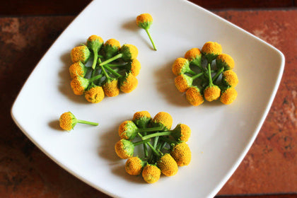 Buzz Button™ – Gourmet Sweet Botanicals