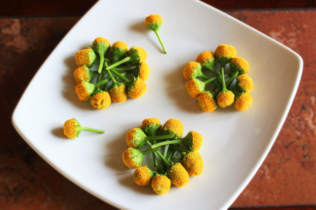 Buzz Button™ – Gourmet Sweet Botanicals