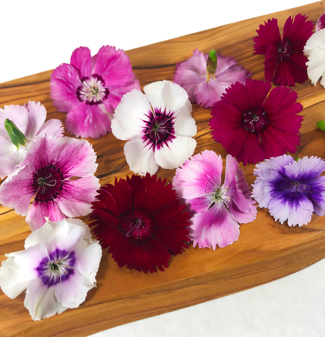Dianthus – Gourmet Sweet Botanicals