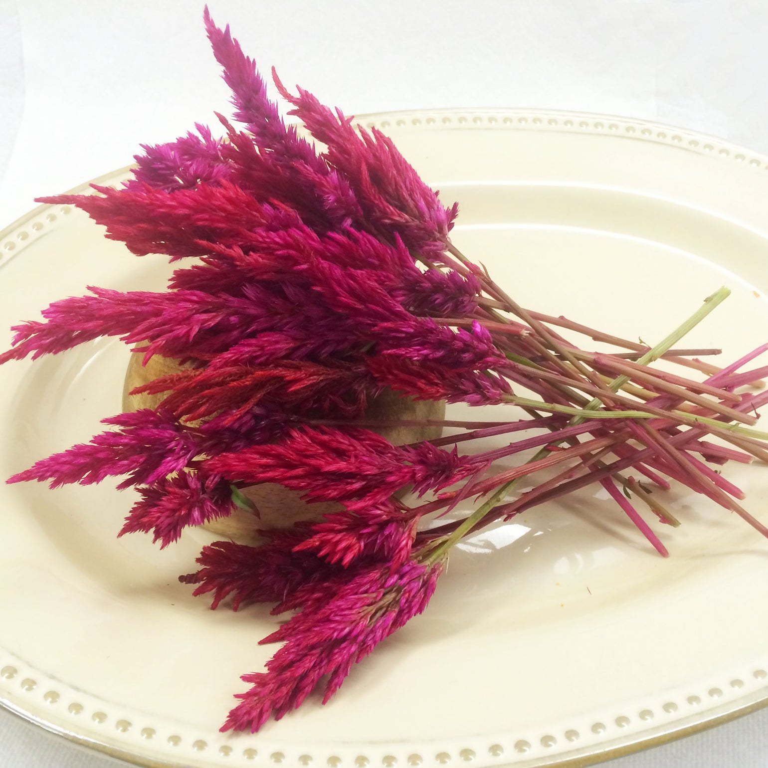 Edible Flowers – Page 2 – Gourmet Sweet Botanicals