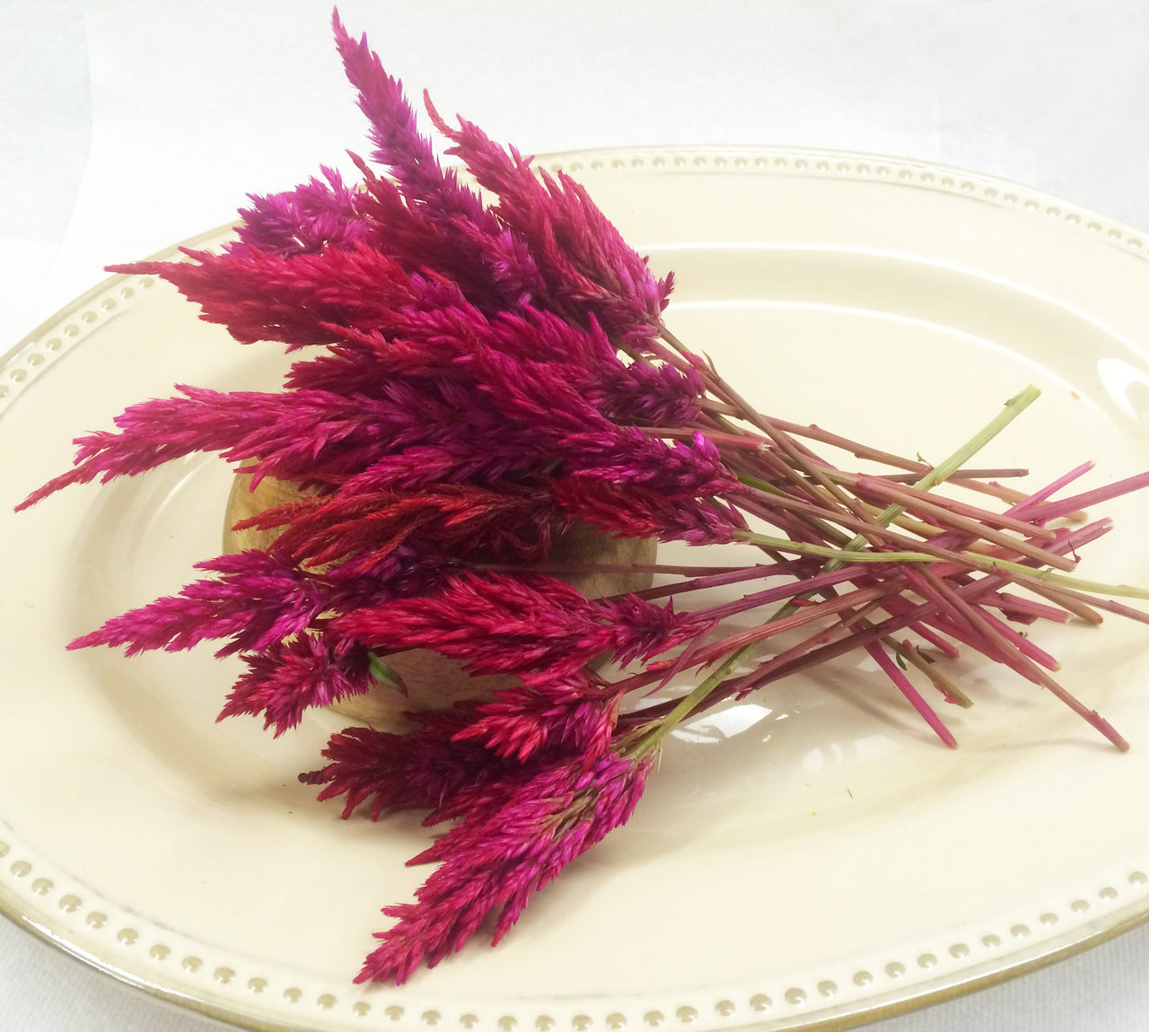 Firestix™ – Gourmet Sweet Botanicals