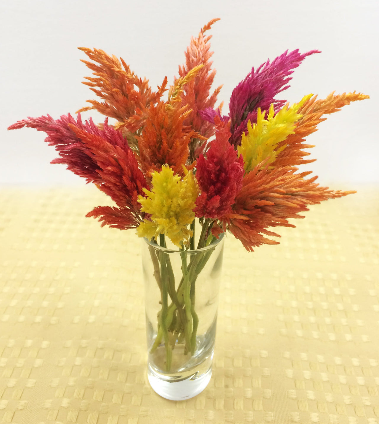 Firestix Mix™ – Gourmet Sweet Botanicals