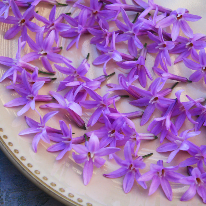 Edible Flowers – Page 2 – Gourmet Sweet Botanicals