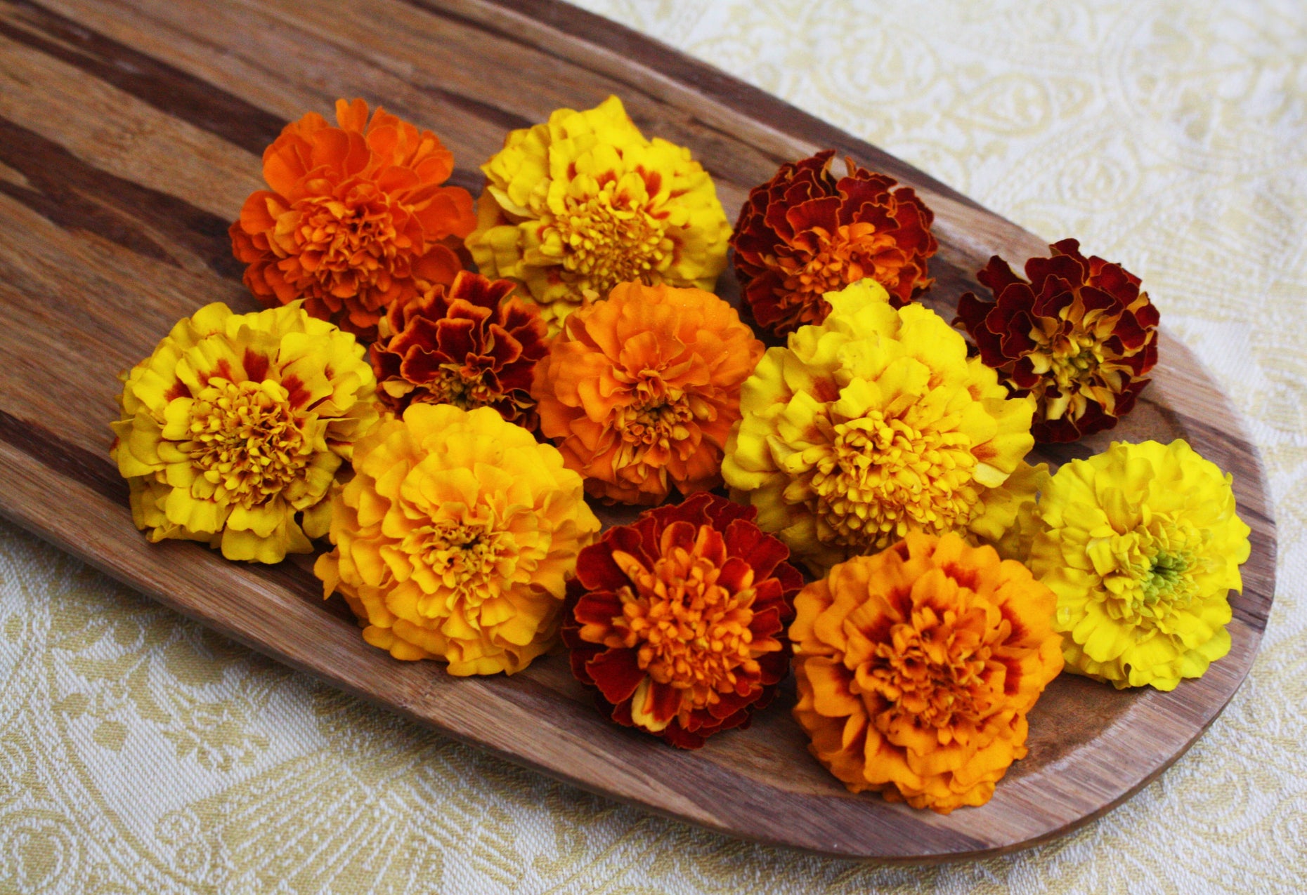 Marigold – Gourmet Sweet Botanicals