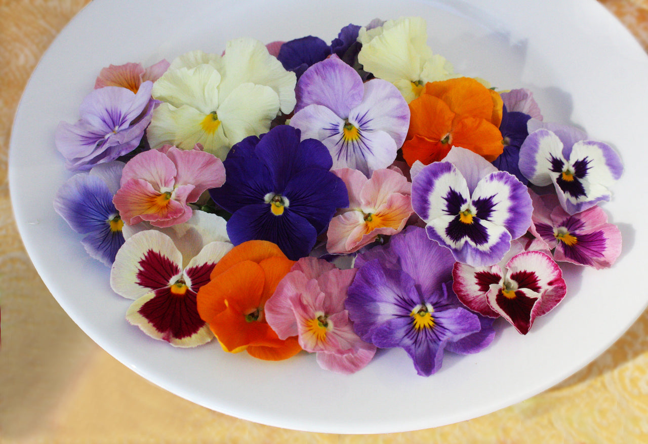 Pansy – Gourmet Sweet Botanicals