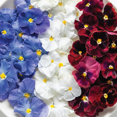 Edible Flowers – Page 3 – Gourmet Sweet Botanicals