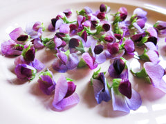 Pea Flower – Gourmet Sweet Botanicals