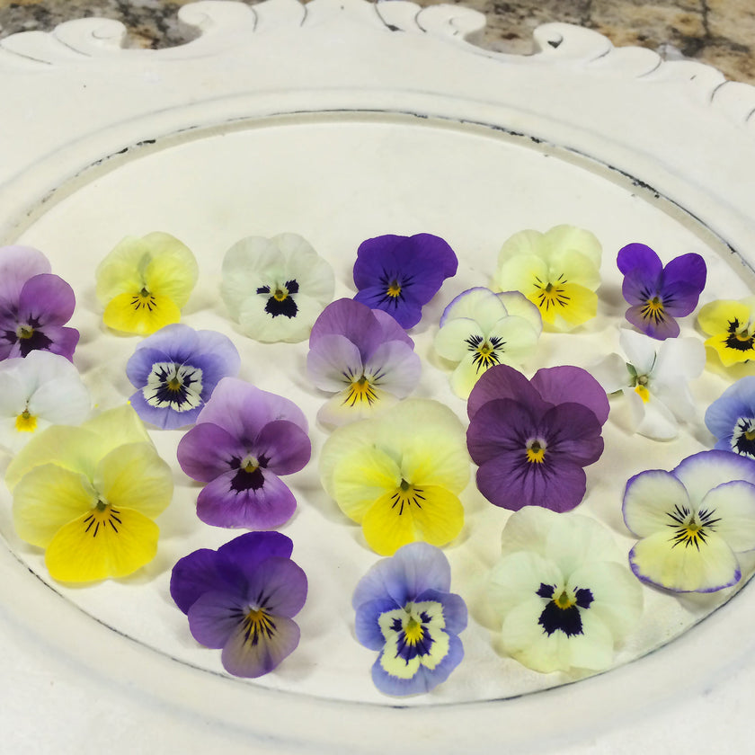 Edible Flowers – Page 3 – Gourmet Sweet Botanicals