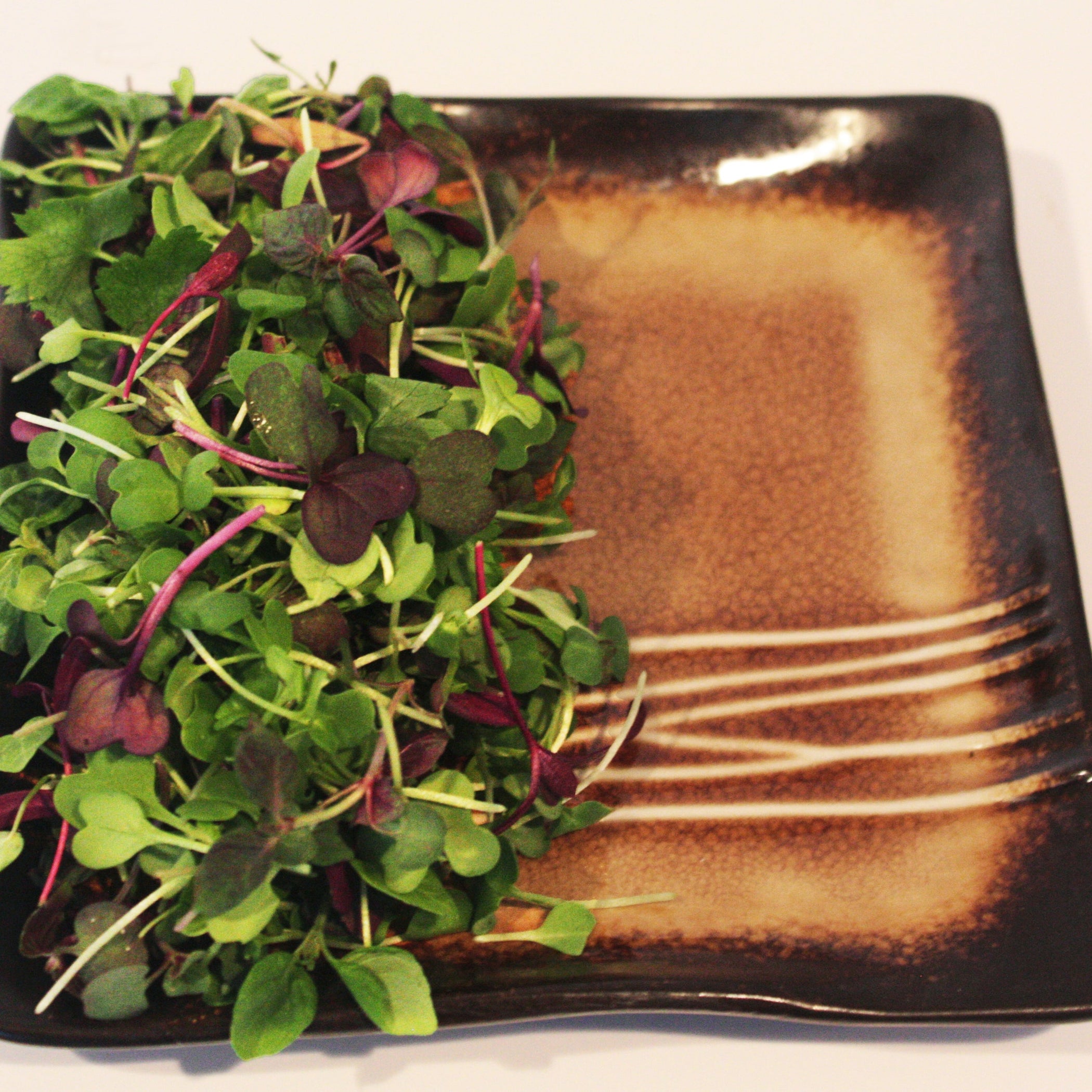 MicroGreens – Gourmet Sweet Botanicals