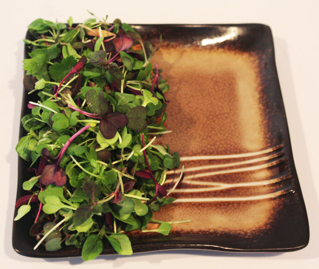 Micro Asian Mix™ – Gourmet Sweet Botanicals