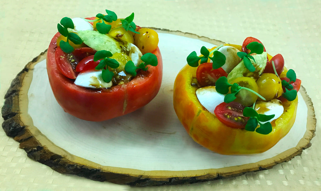 Micro Basil Italian – Gourmet Sweet Botanicals