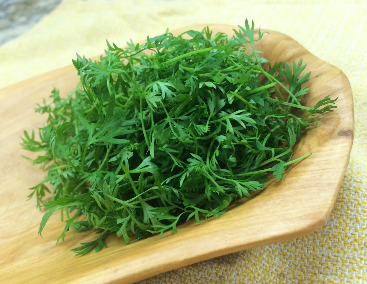 Micro Carrot Top – Gourmet Sweet Botanicals