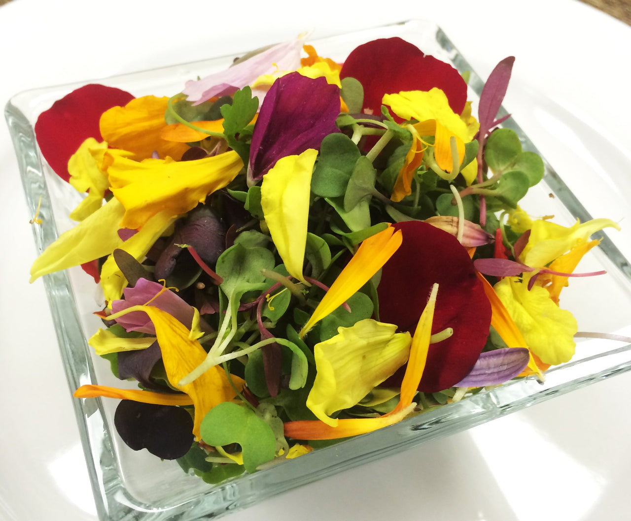 Micro Chef's Blend – Gourmet Sweet Botanicals