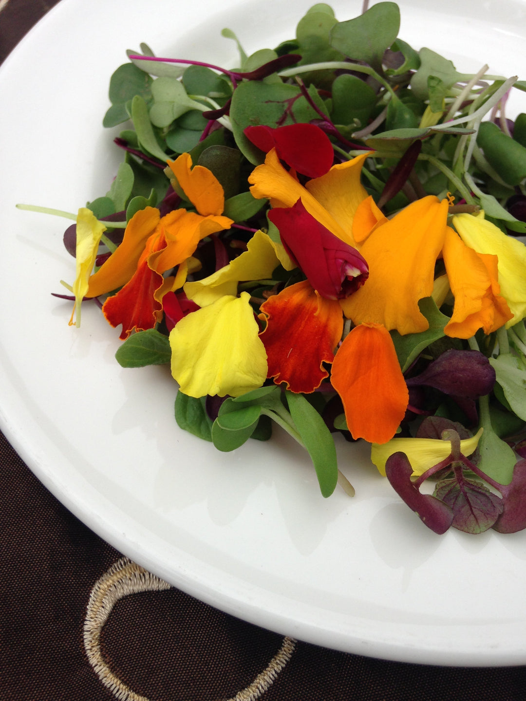 Micro Chef's Blend – Gourmet Sweet Botanicals