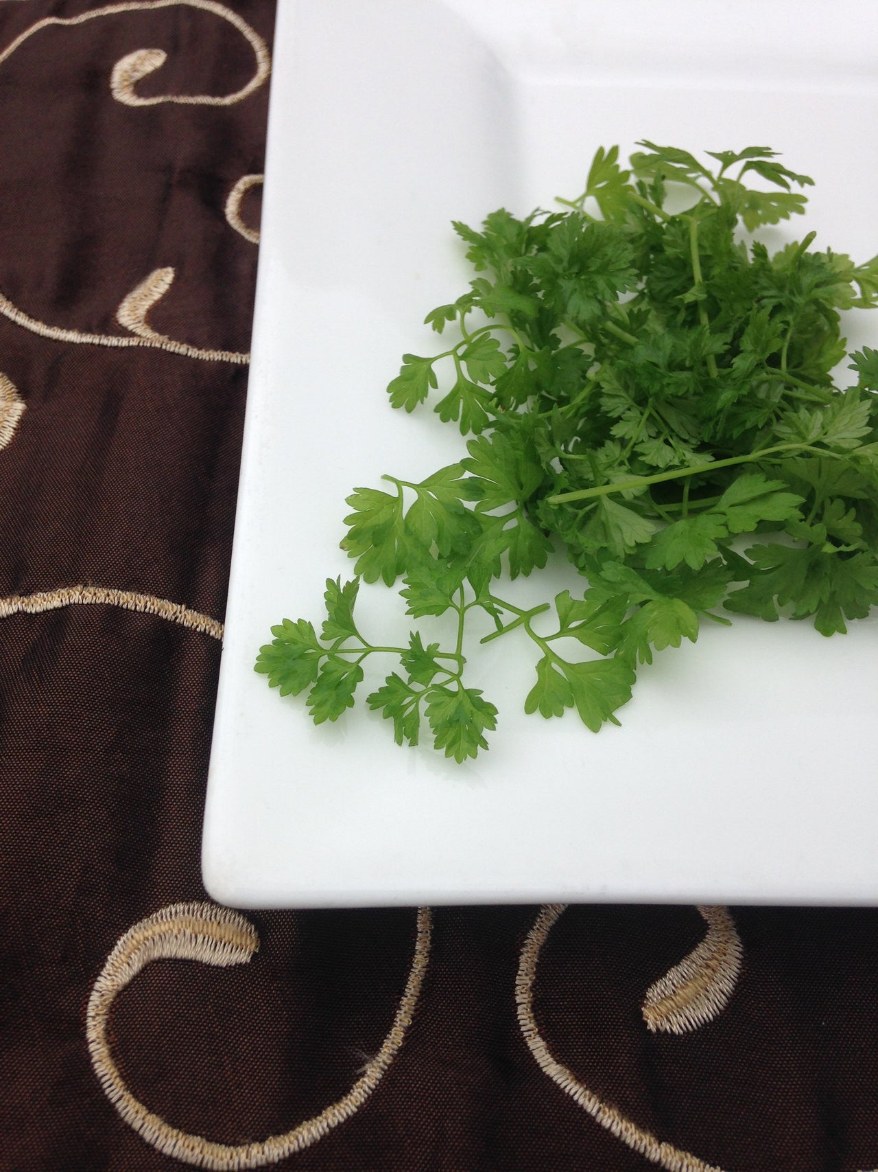 Micro Chervil – Gourmet Sweet Botanicals