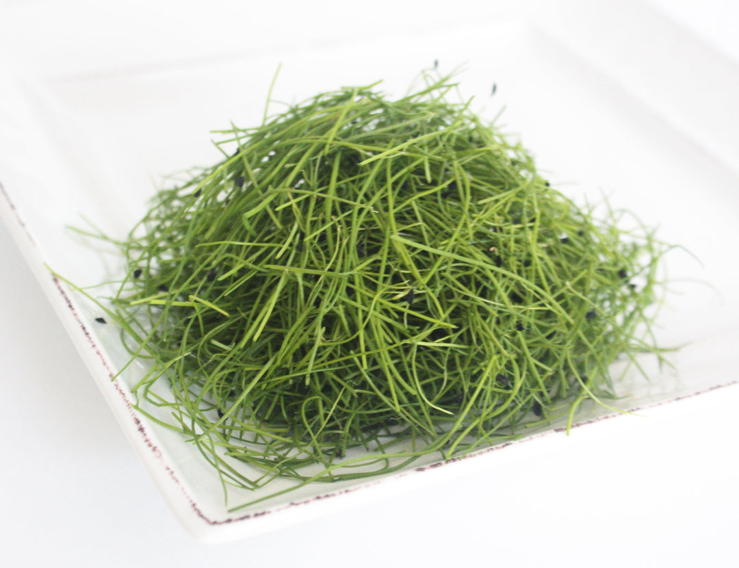 Micro Chives – Gourmet Sweet Botanicals