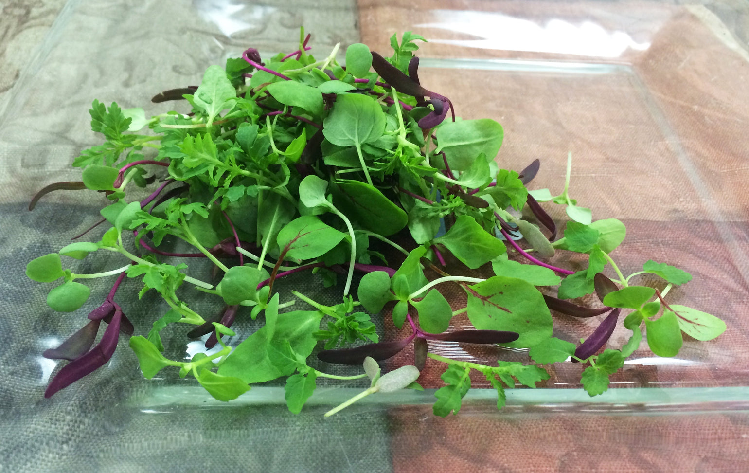 Micro Citrus Mix™ – Gourmet Sweet Botanicals