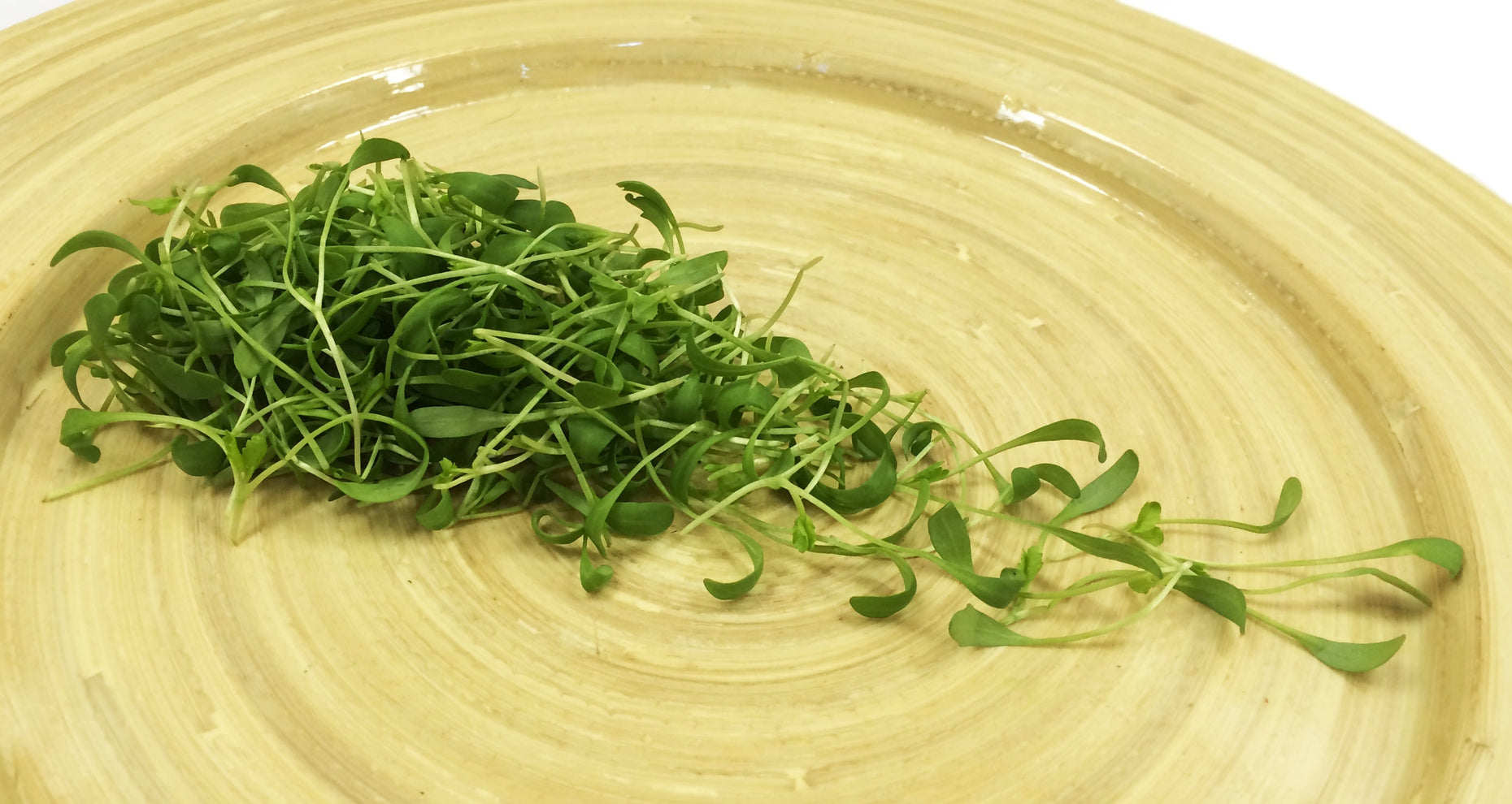 Micro Cress Pepper – Gourmet Sweet Botanicals