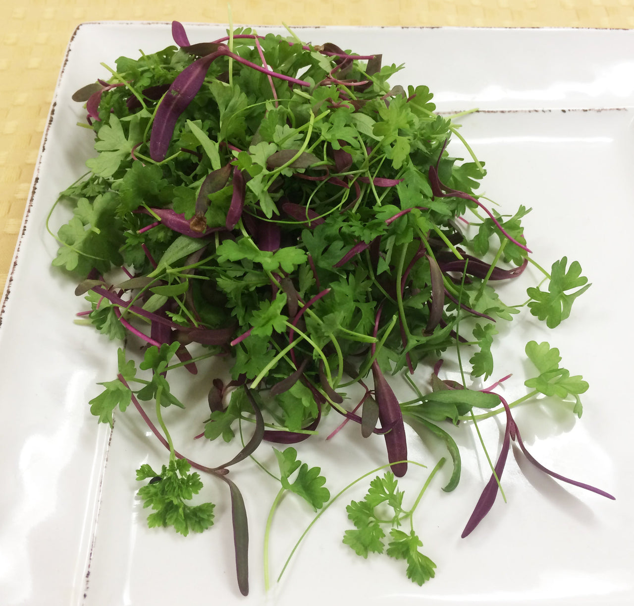 Micro Fines Herbes Mix™ – Gourmet Sweet Botanicals