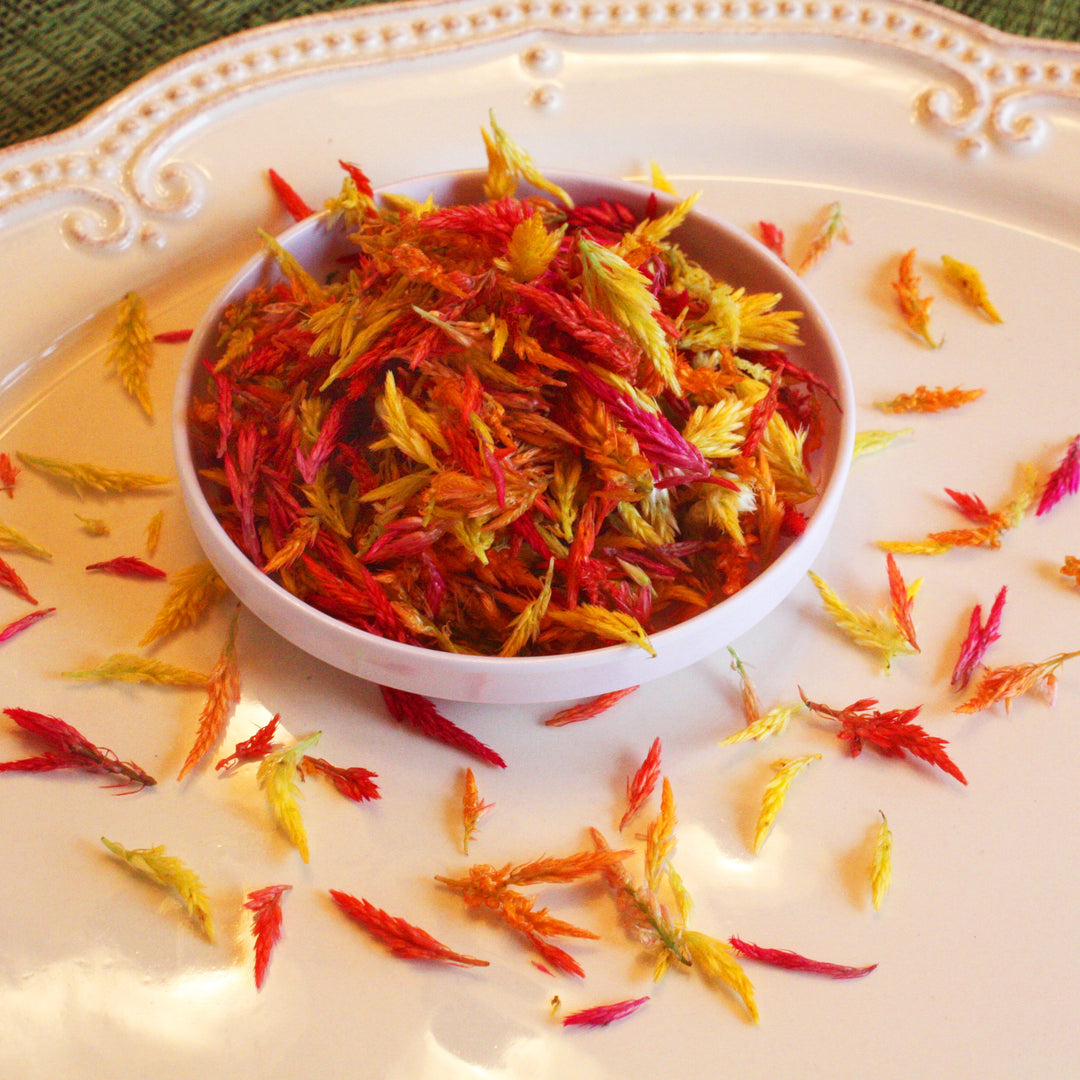 Edible Micro Flowers™ – Gourmet Sweet Botanicals