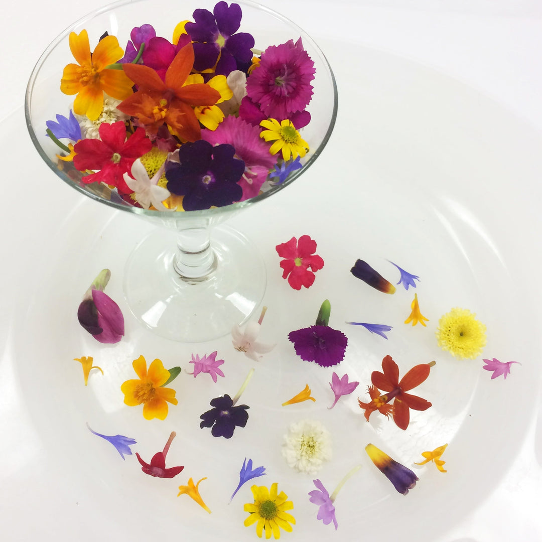 Edible Micro Flowers™ – Gourmet Sweet Botanicals