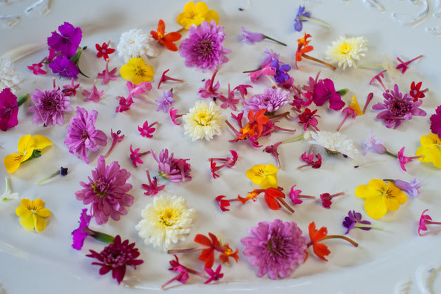 Micro Flowers™ Blend – Gourmet Sweet Botanicals