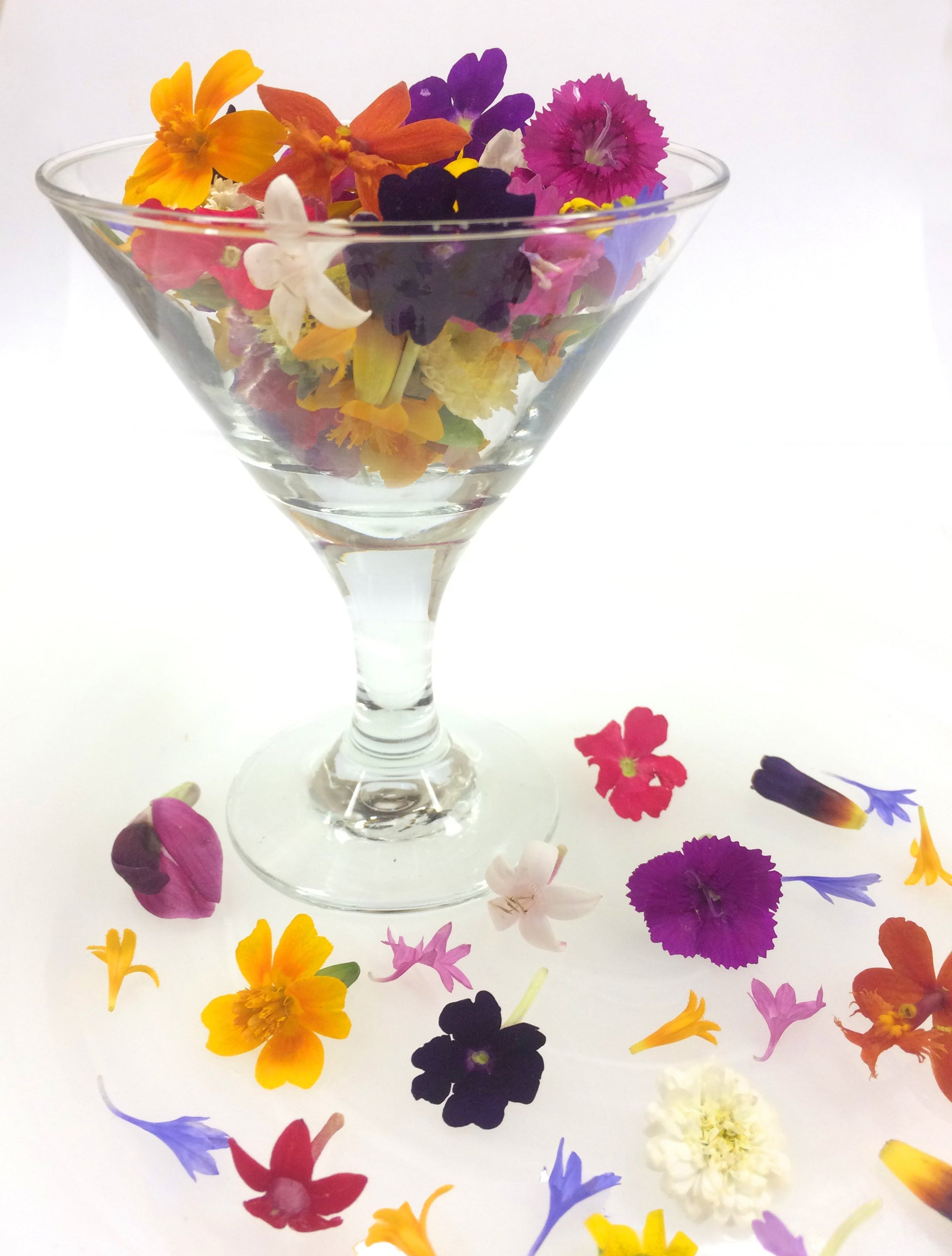 Micro Flowers™ Blend – Gourmet Sweet Botanicals