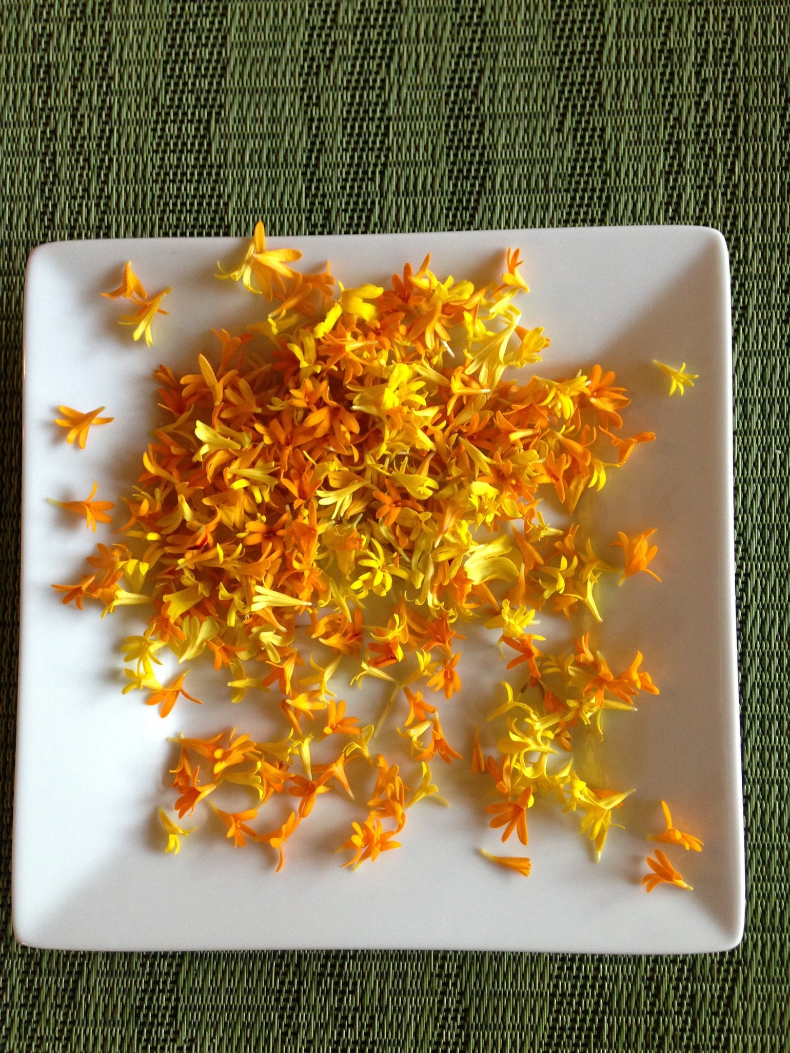 Micro Marigold Floret™ – Gourmet Sweet Botanicals
