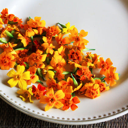 Edible Micro Flowers™ – Gourmet Sweet Botanicals