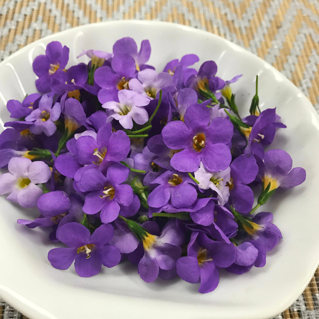 Edible Micro Flowers™ – Gourmet Sweet Botanicals