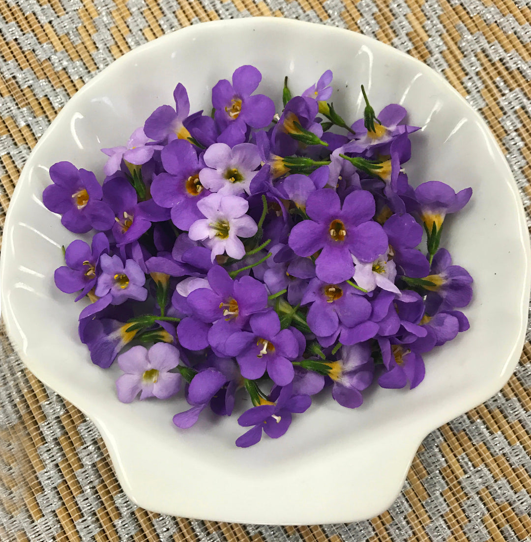 Micro Princess Flower™ Purple – Gourmet Sweet Botanicals