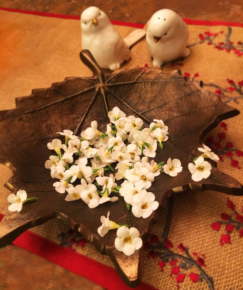 Micro Princess Flower™ White – Gourmet Sweet Botanicals