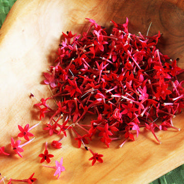 Edible Micro Flowers™ – Gourmet Sweet Botanicals