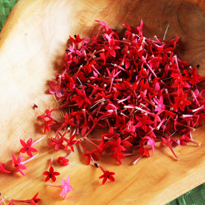 Edible Micro Flowers™ – Gourmet Sweet Botanicals