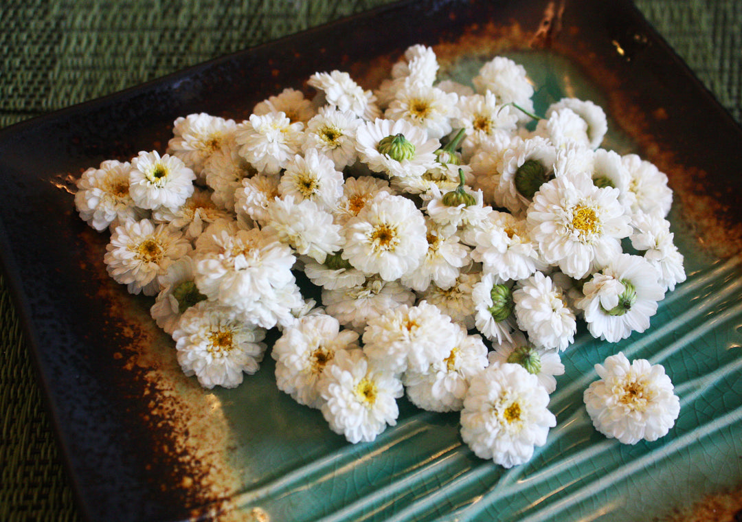 Micro White Mum™ – Gourmet Sweet Botanicals