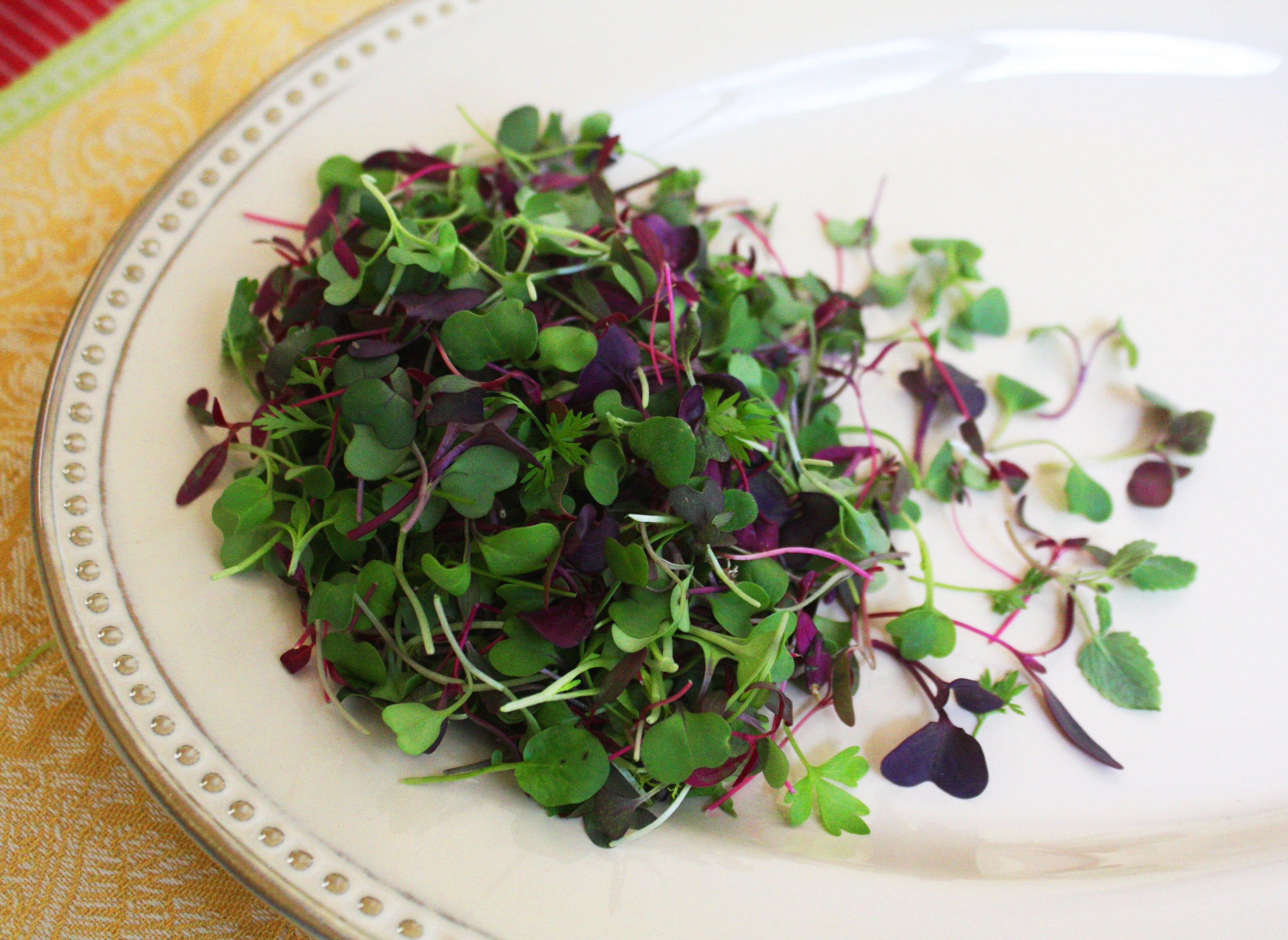 Micro Harvest Mix™ – Gourmet Sweet Botanicals