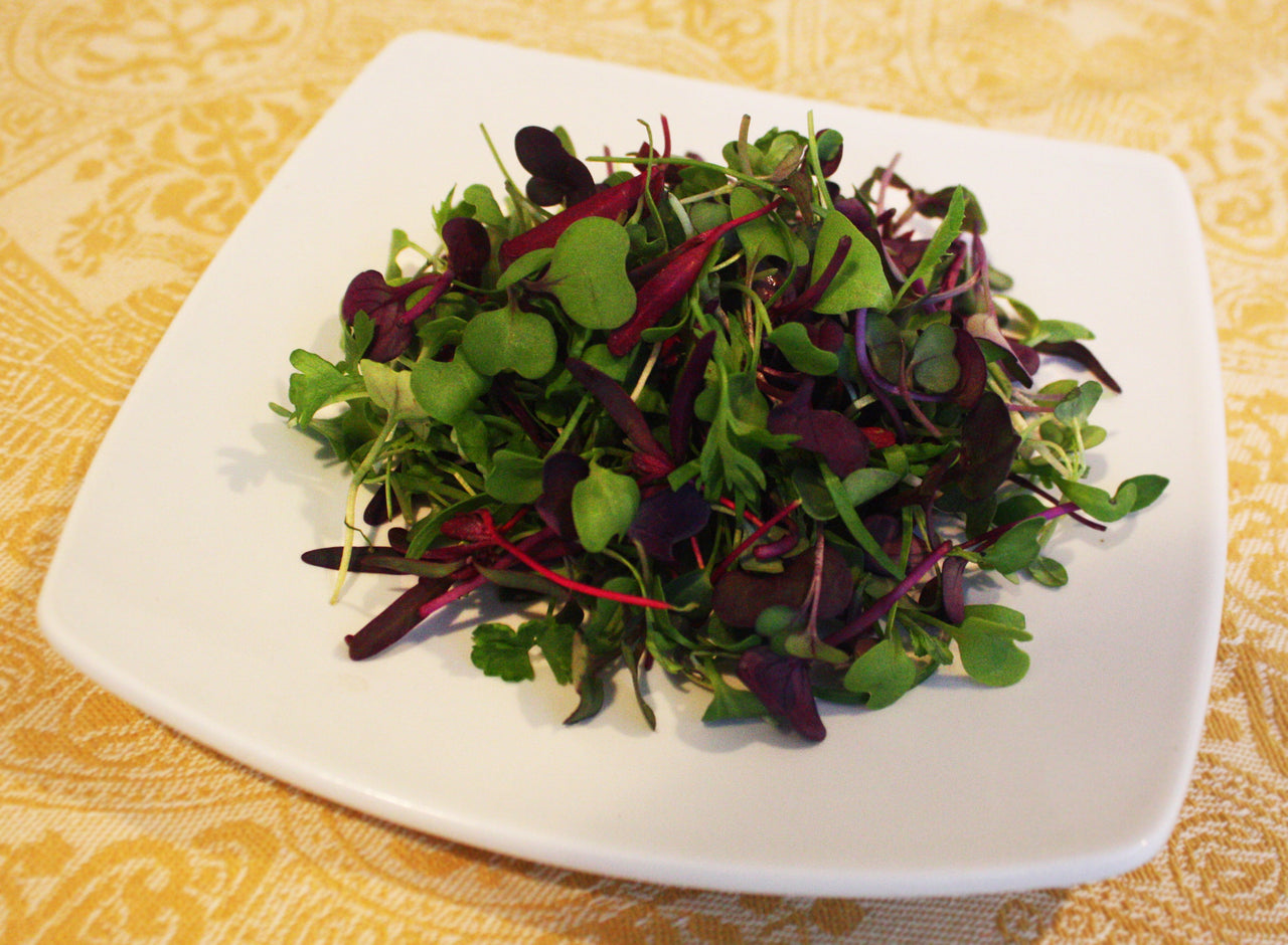 Micro Harvest Mix™ – Gourmet Sweet Botanicals
