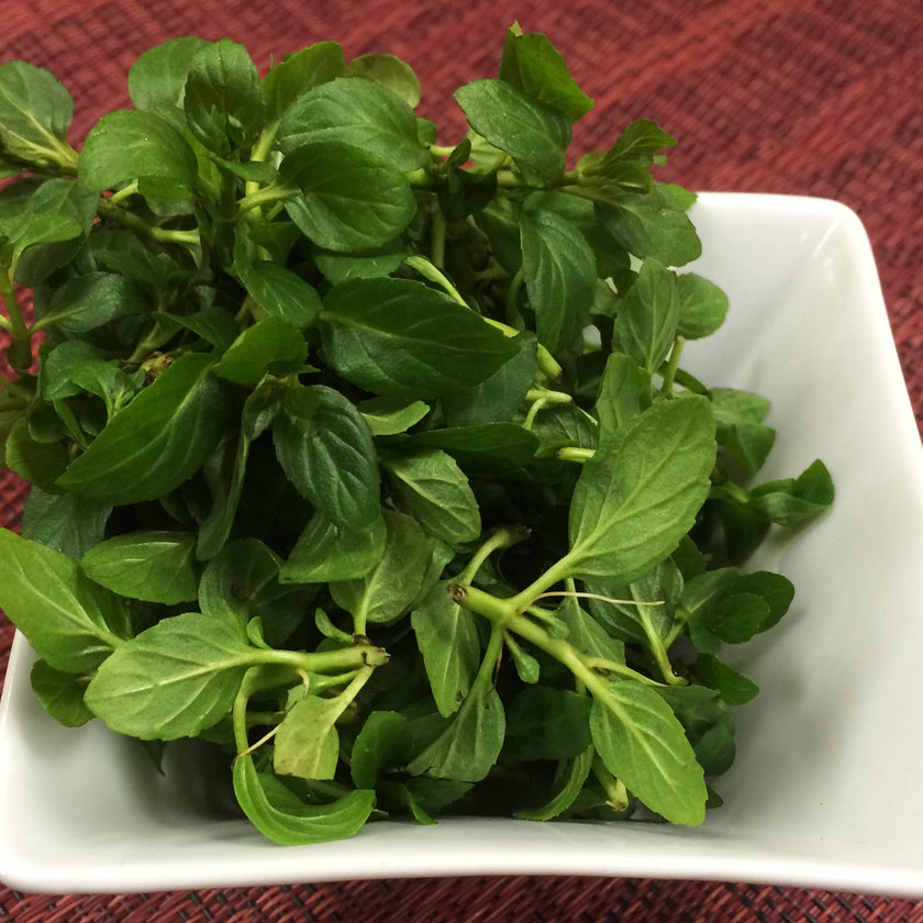 MicroGreens – Page 2 – Gourmet Sweet Botanicals
