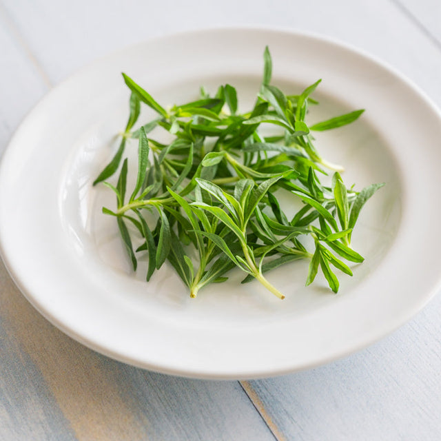 MicroGreens – Page 2 – Gourmet Sweet Botanicals