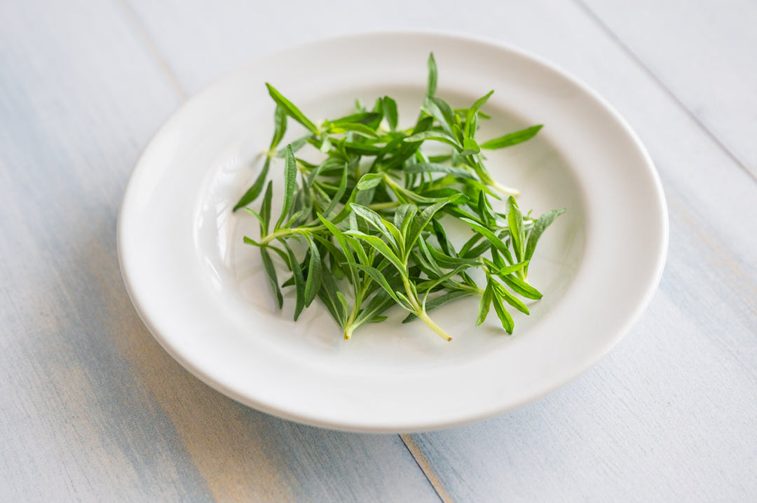 Micro Mint Royale™ – Gourmet Sweet Botanicals