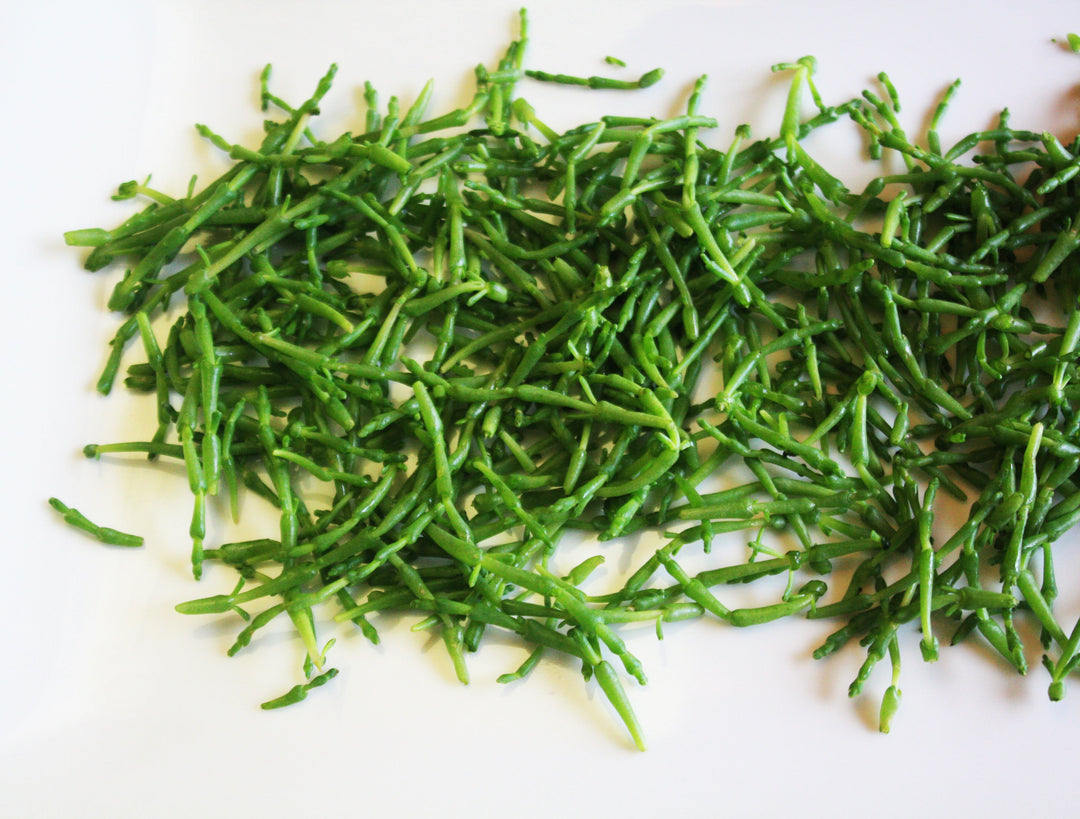 Micro Sea Beans™ – Gourmet Sweet Botanicals