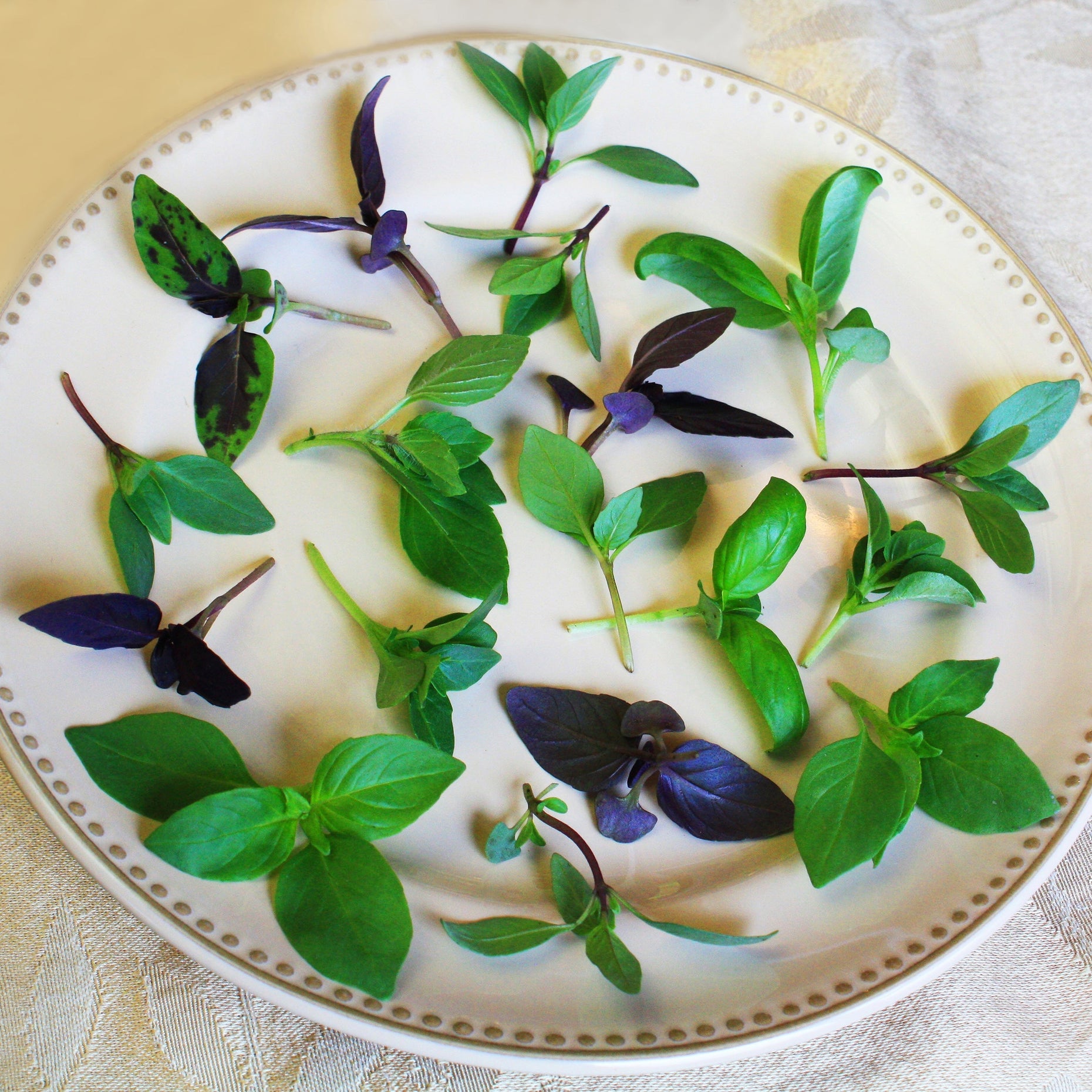 Petite®Greens – Gourmet Sweet Botanicals