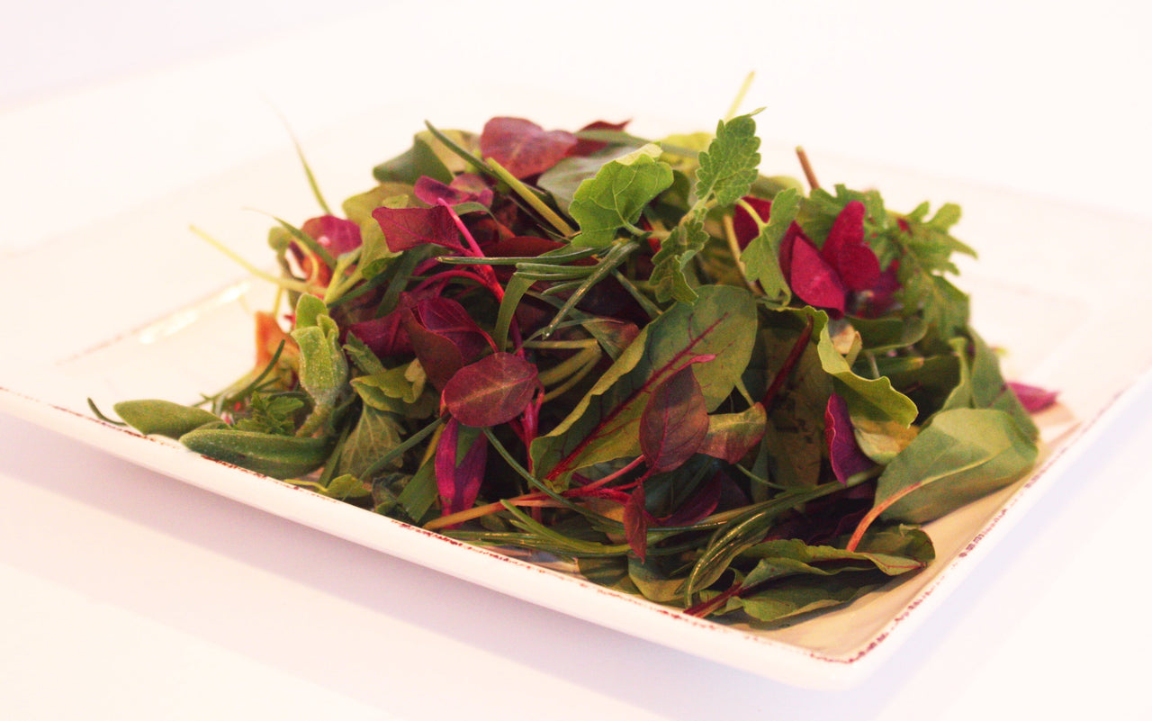 Petite® Citrus Mix™ – Gourmet Sweet Botanicals