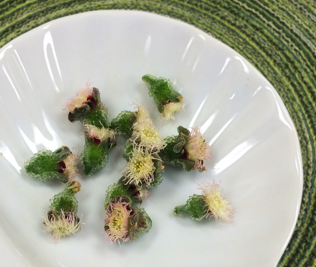 Specialty Item Ice Bud™ – Gourmet Sweet Botanicals