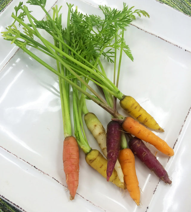 Tiny Veggies™ Carrot Mix – Gourmet Sweet Botanicals